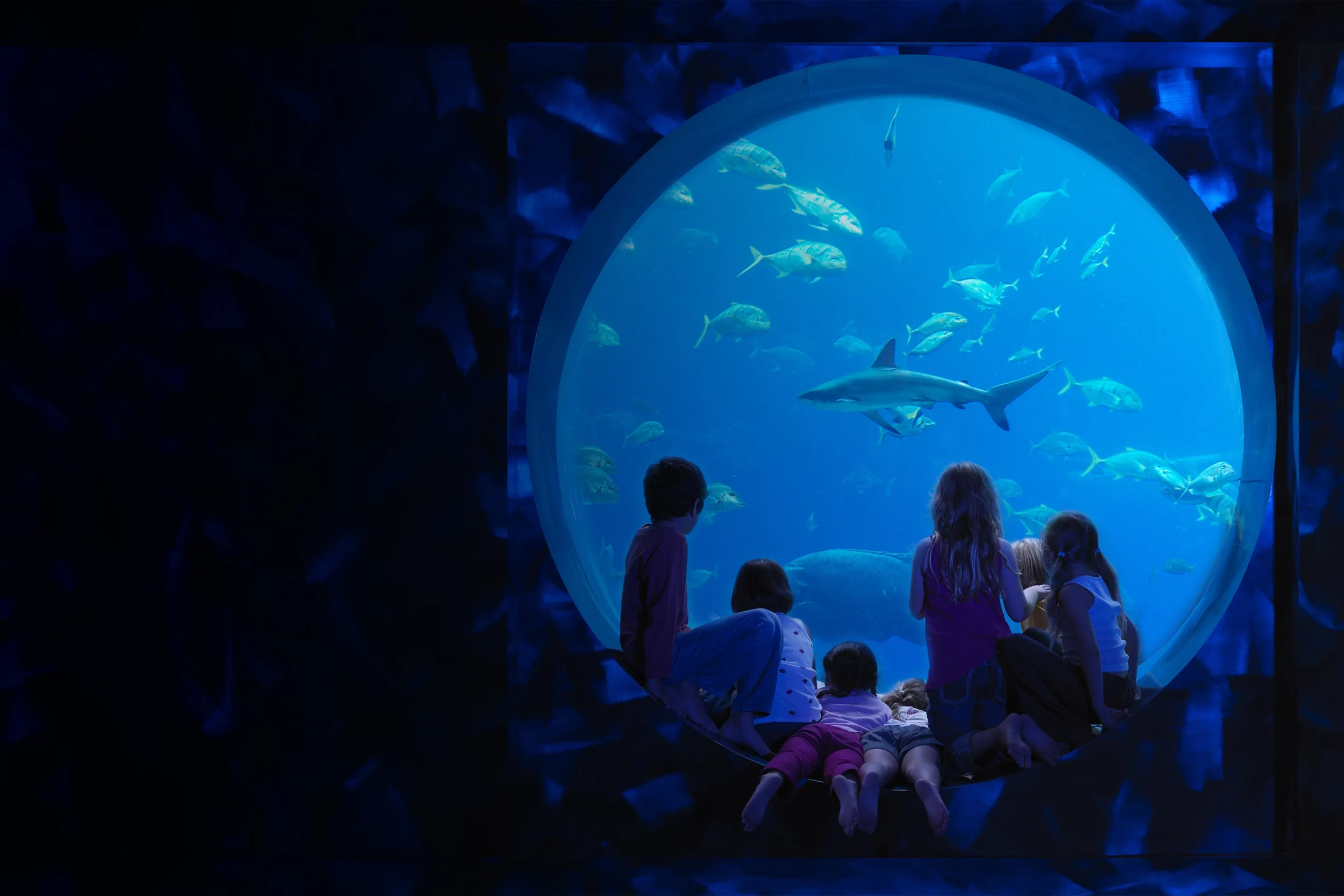 Best Fun Activities for Kids in Dubai @ Atlantis, The Palm | Join ...