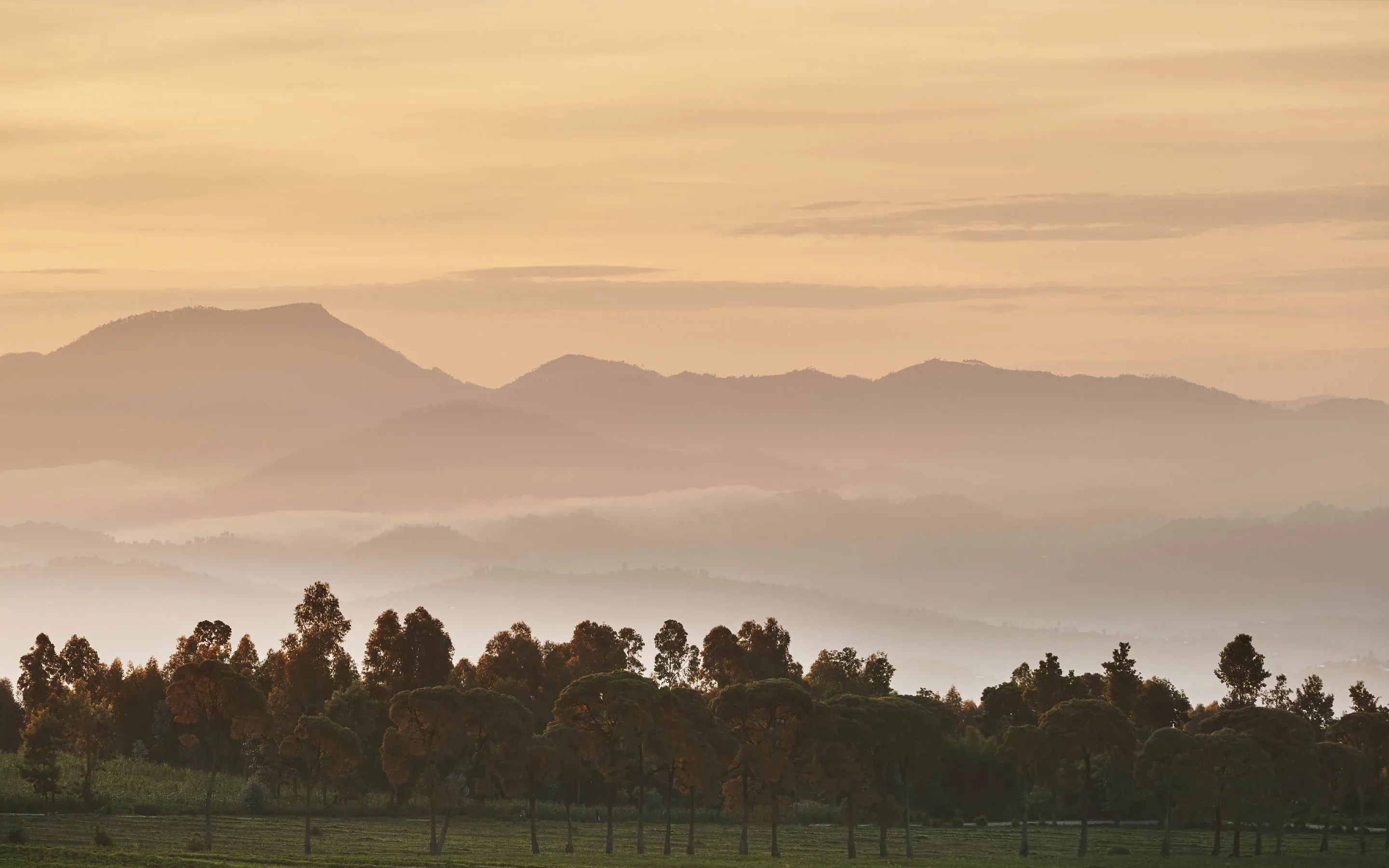 Luxury Holiday Resort in Rwanda | One&Only