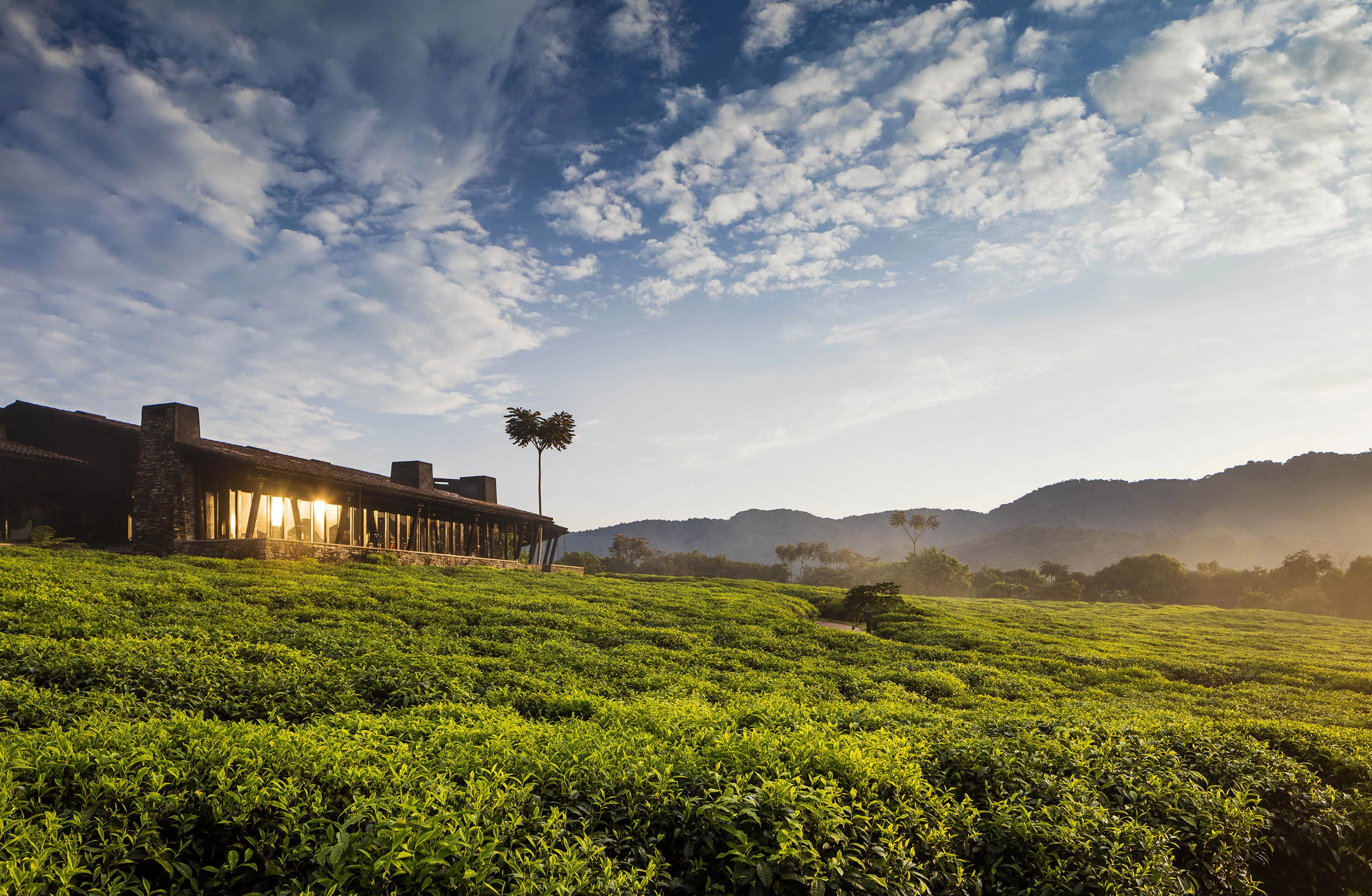 Wellness Itinerary | One&Only Rwanda