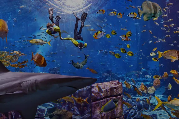 Atlantis Atlas Project | Sustainability | Atlantis Dubai