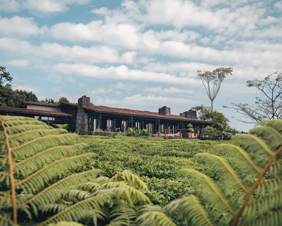 Luxury Holiday Resort in Rwanda | One&Only